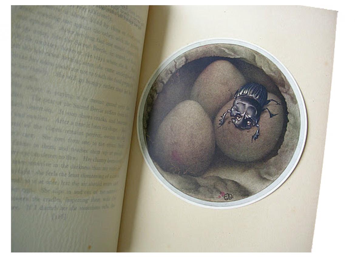 Jean-Henri Fabre: the man who loved bugs | International League of ...