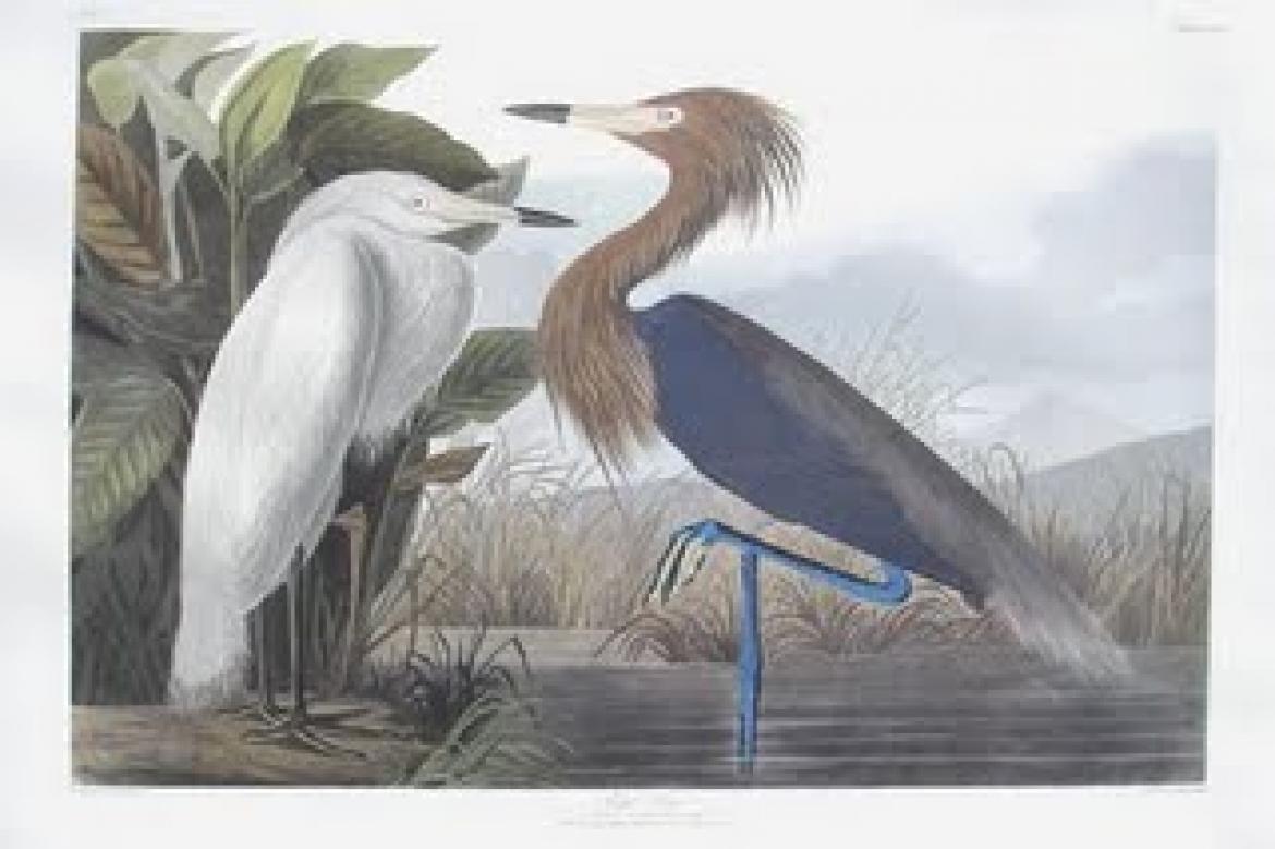 The Color of Old Prints | International League of Antiquarian ...