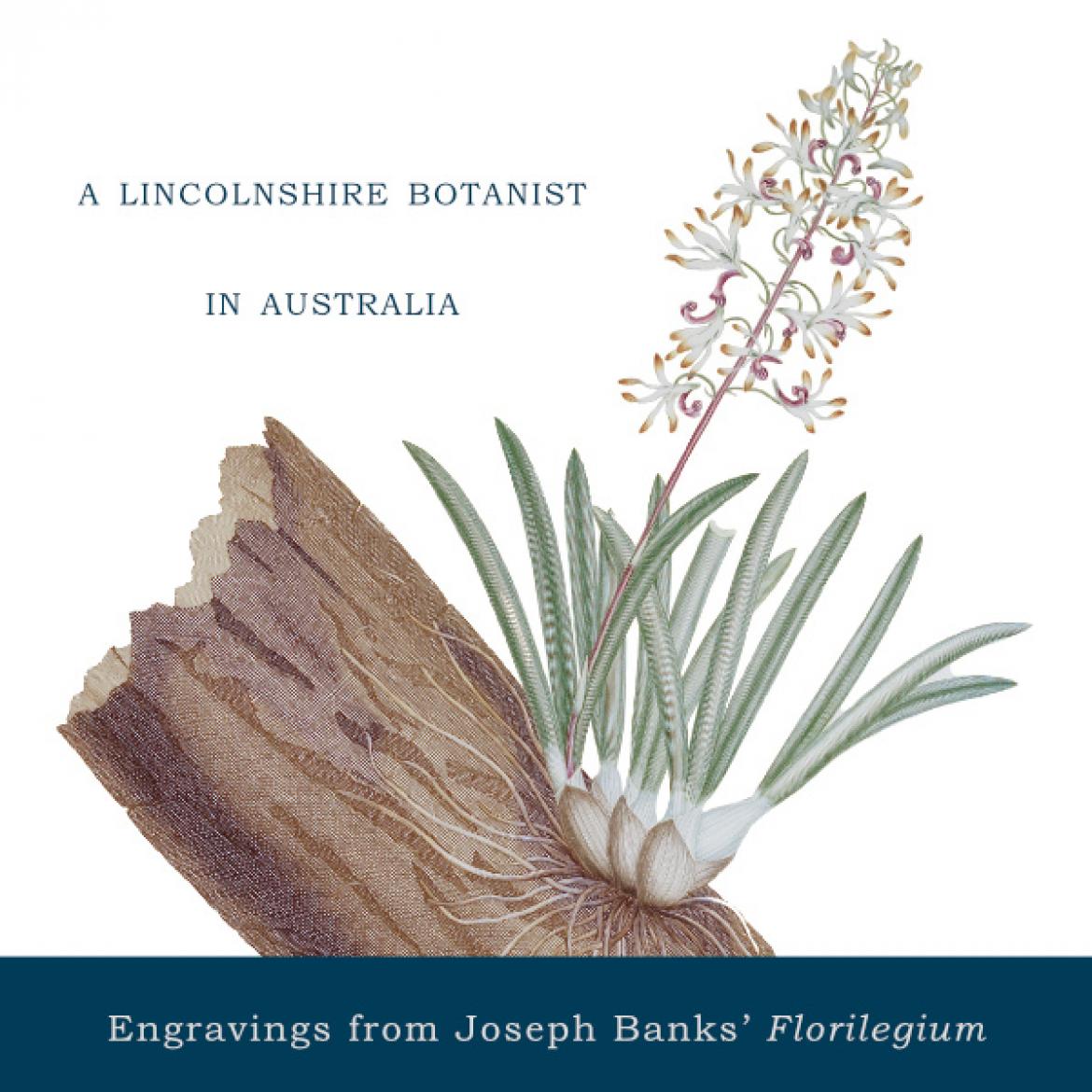 Joseph Banks' Florilegium: A virtual gallery talk by Type & Forme ...
