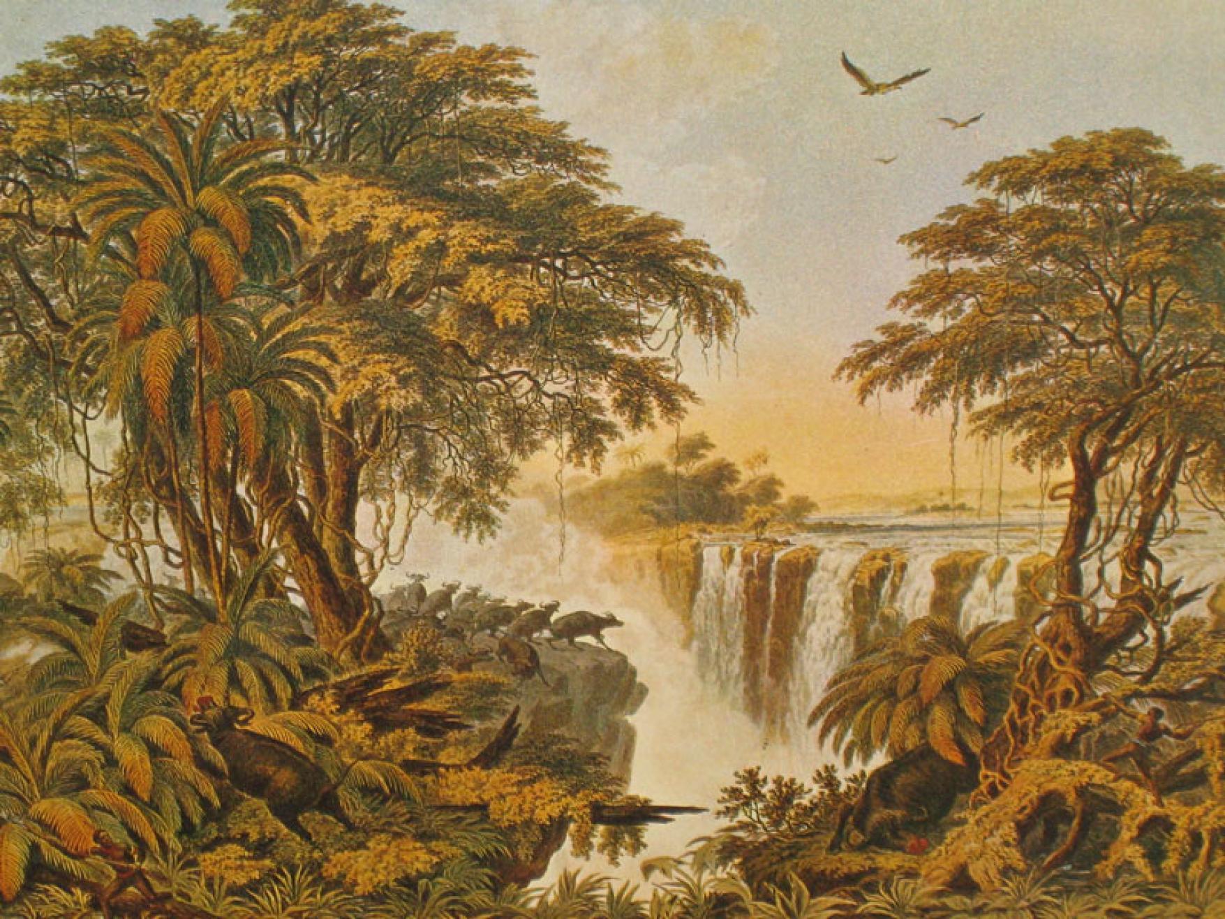 John Thomas Baines - English Artist and Explorer (1820-1875 ...